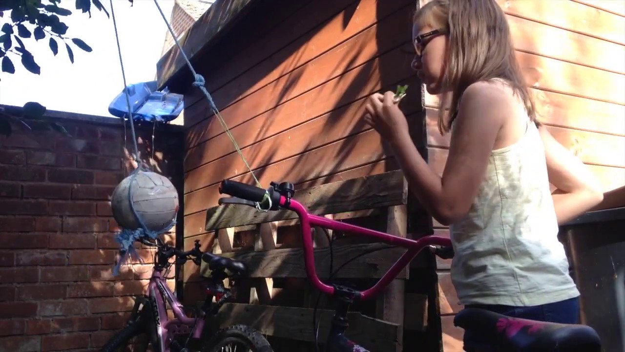 HOMEMADE BOOBY TRAPS | w/ Riley Hunt - YouTube