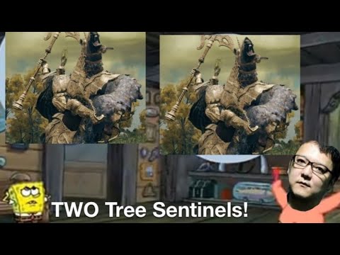 Elden Ring - Tree sentinel Armor Set Location - YouTube