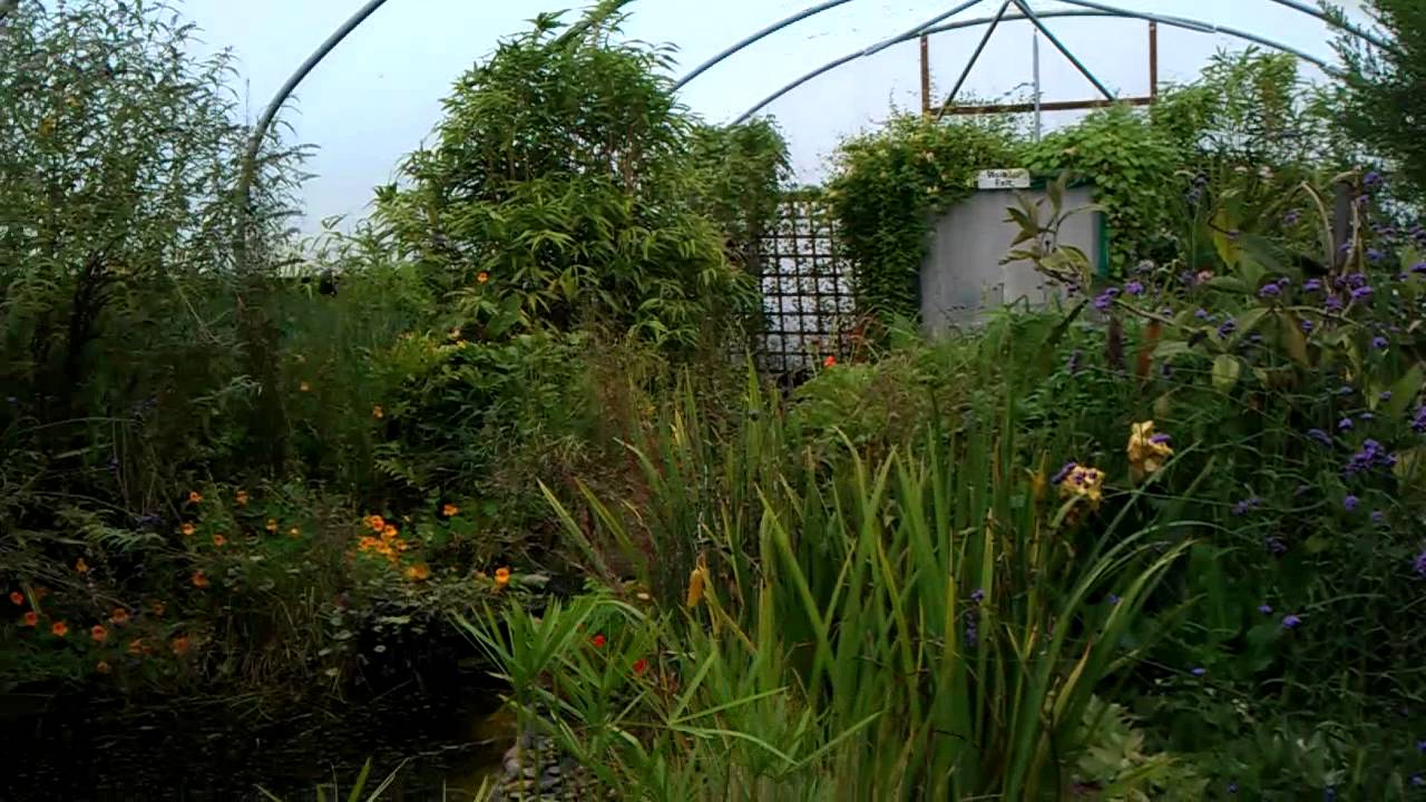 Jimmy's Farm - Butterfly House - YouTube