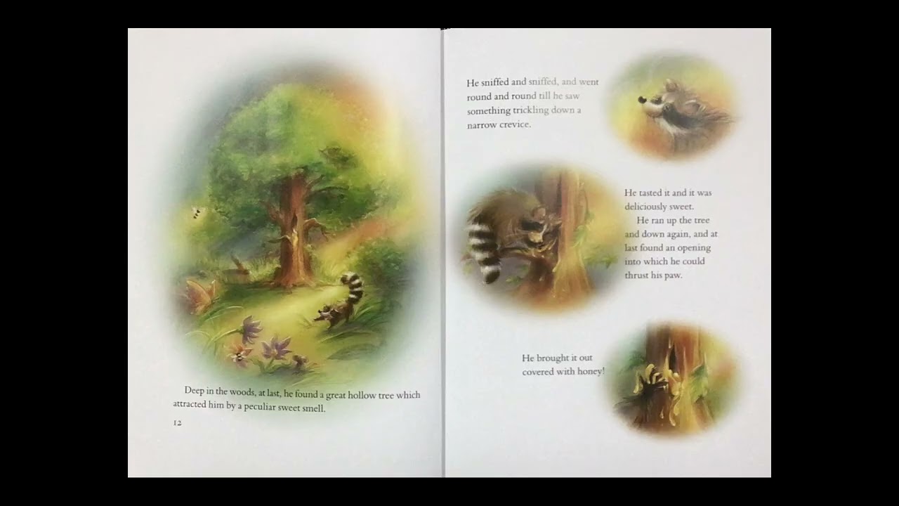Raccoon and the Bee Tree by Charles Eastman - YouTube