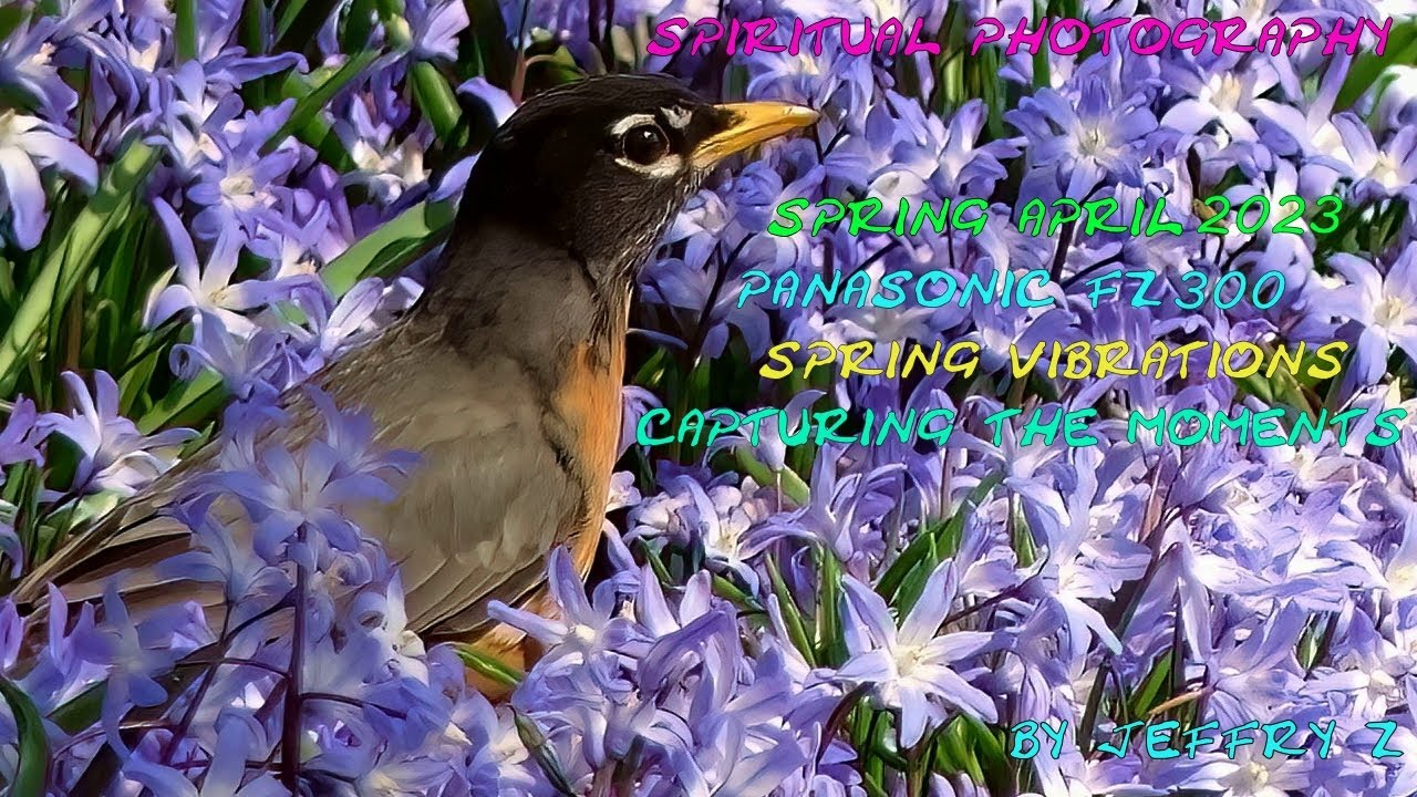 spring April 2023 Vibrations, Panasonic Lumix fz300 / 330 - YouTube