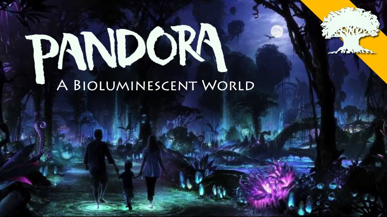 30mins of Bioluminescent PANDORA (Animal Kingdom) - YouTube