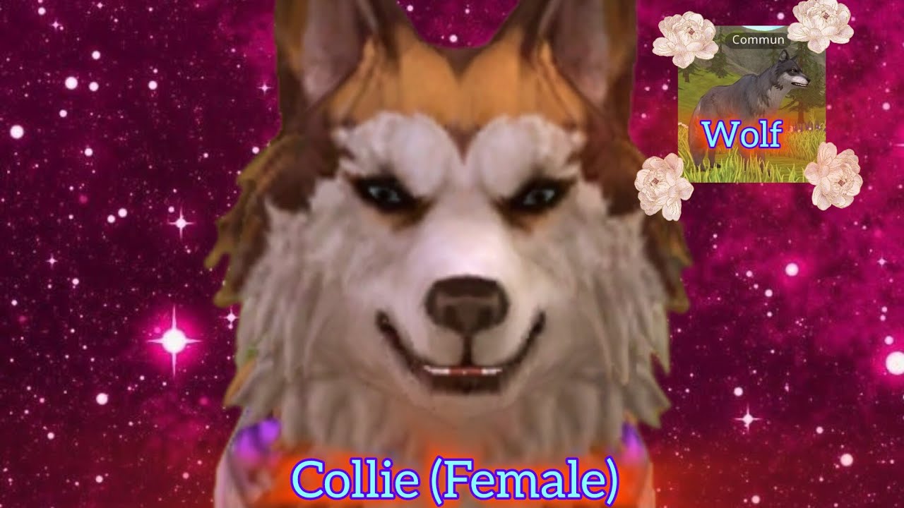 (💙) Movie Sonic From My Au Live,Playing Wildcraft Part #49 (💙)-[As ...