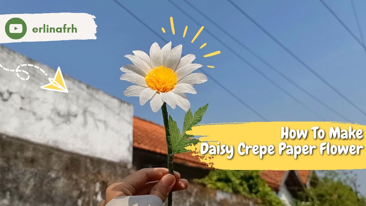 Tutorial Membuat Bunga Daisy Dari Kertas Krep | How To Make Daisy Crepe ...