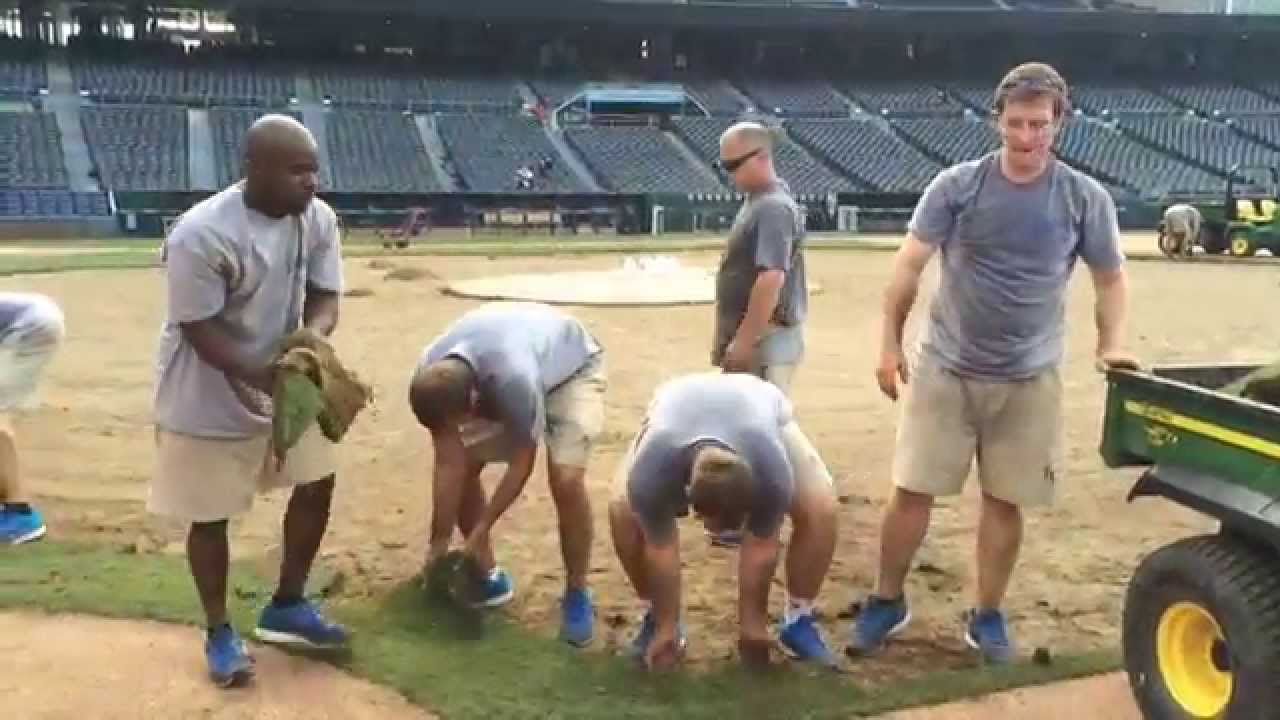 Royals grounds crew replaces infield grass - YouTube