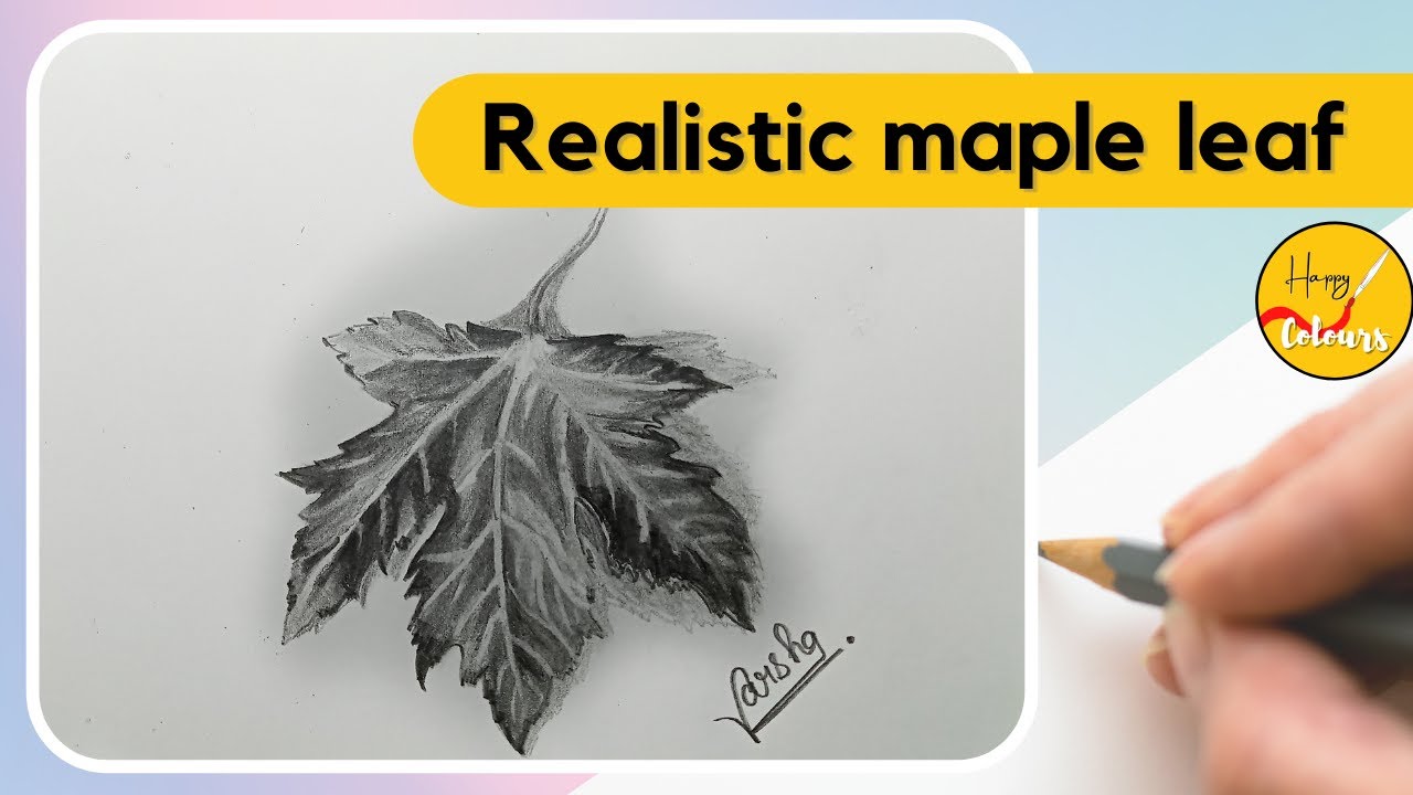 How To Draw Realistic Leaf | Maple Leaf | Sketch Tutorial | Happy ...