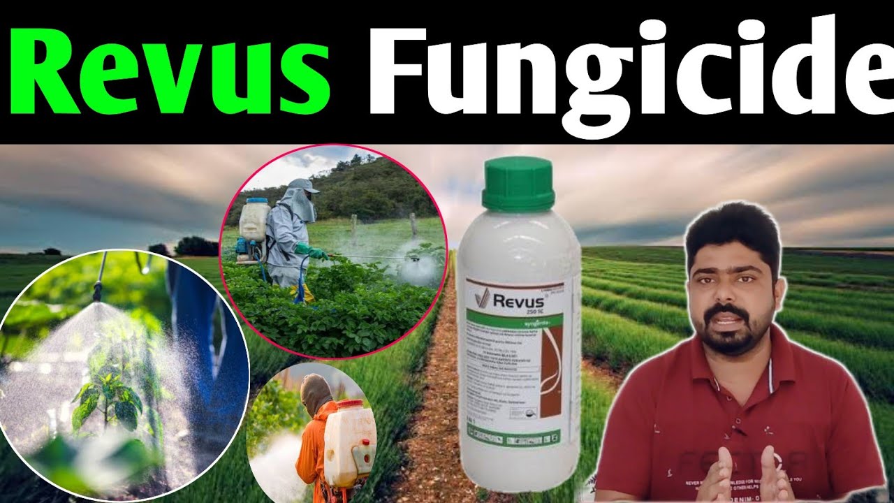 Revus Fungicide ।। Syngenta Revus Fungicide ।। Mandipropamid 23.4% Sc ...