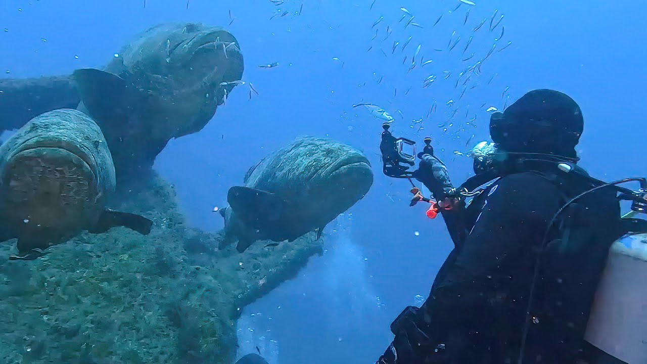More Jupiter Wreck Trek and Juno Ledge! (What can I say, it's that time ...