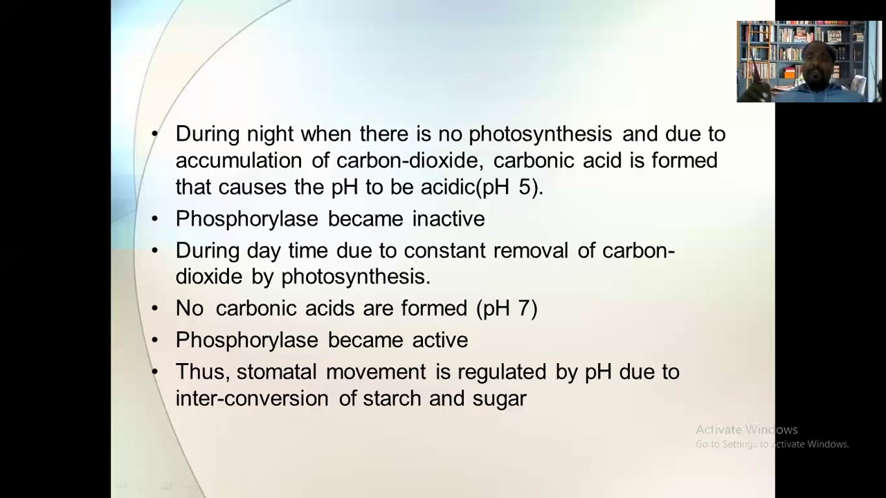 Starch sugar Interconversion Theory - YouTube