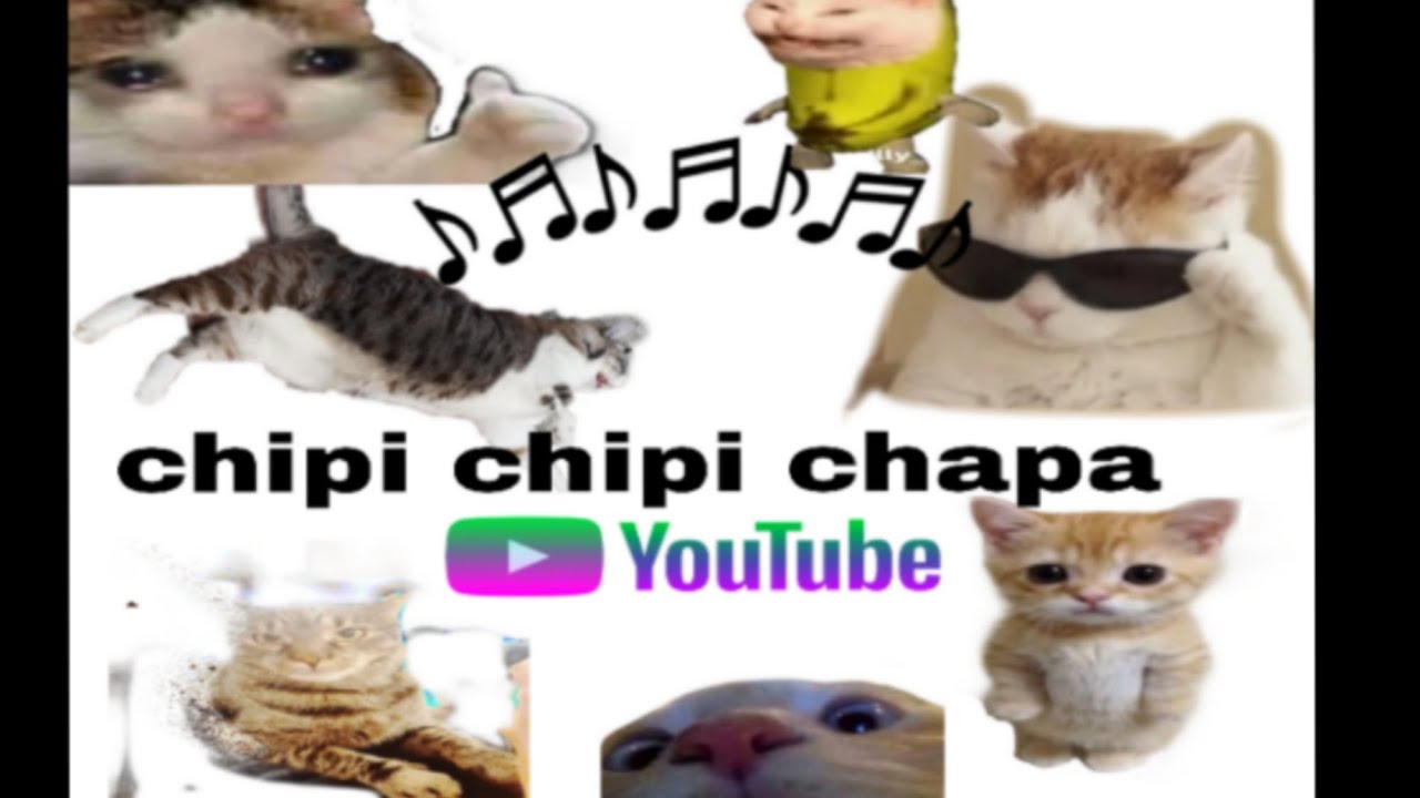[cancion] chipi chipi chapa chapa - YouTube