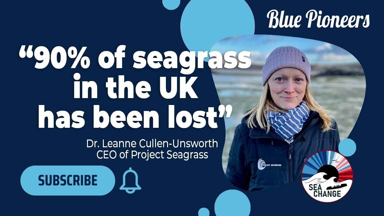 Restoring Lost Seagrass Meadows Along the UK Coastline with Project ...