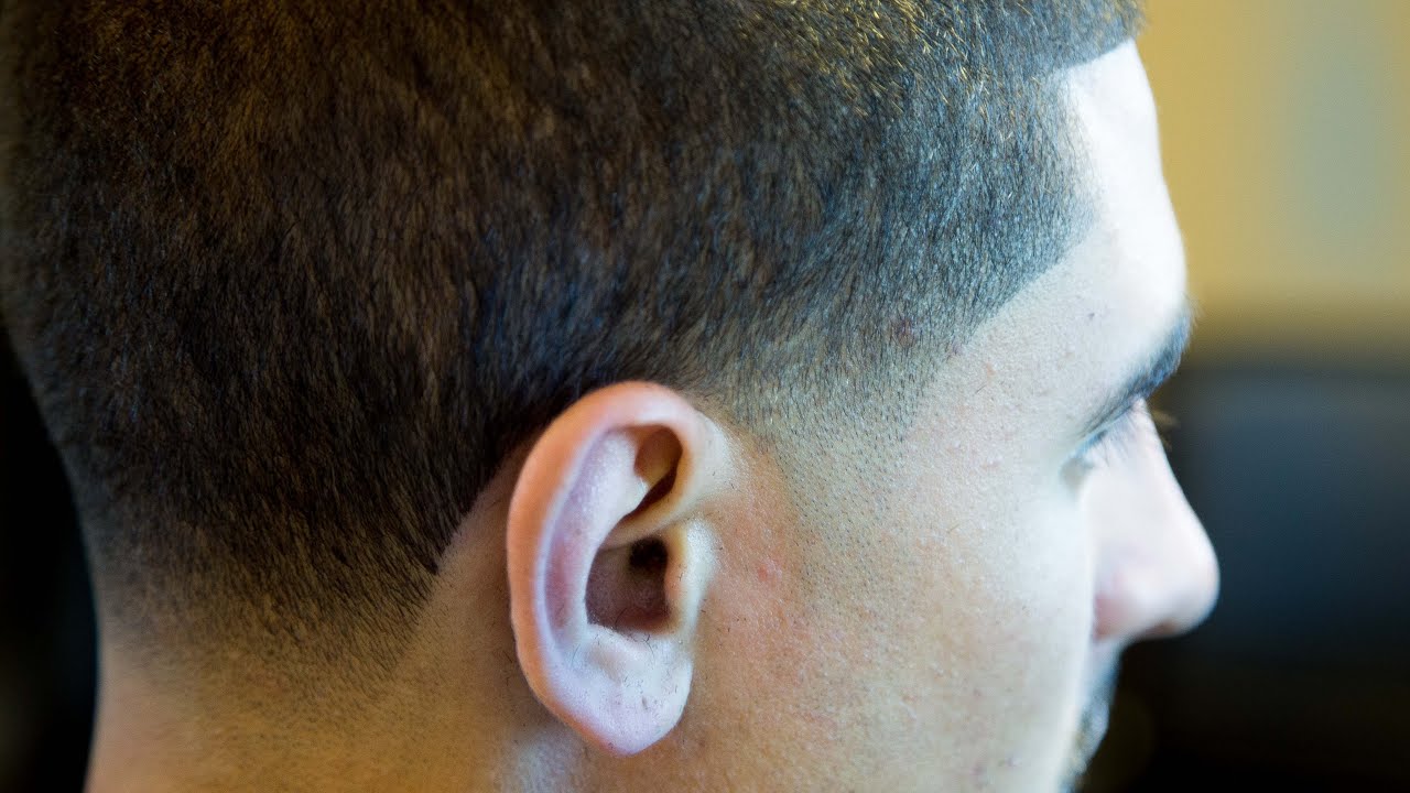 Blowout Haircut Numbers Haircut Numbering System — The Rooted Barber