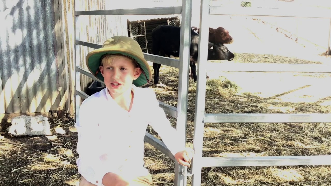 Haden State School | Cows Create Careers - YouTube
