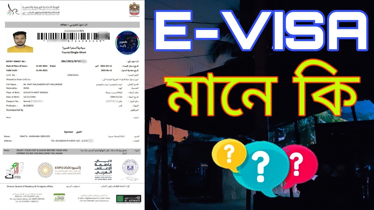What is E-Visa | E Visa & Sticker Visa Difference | Visa Category ...