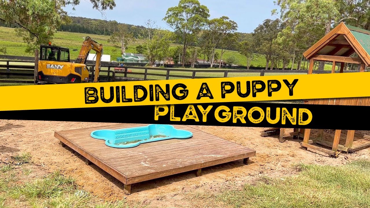 Building a Puppy Playground - YouTube