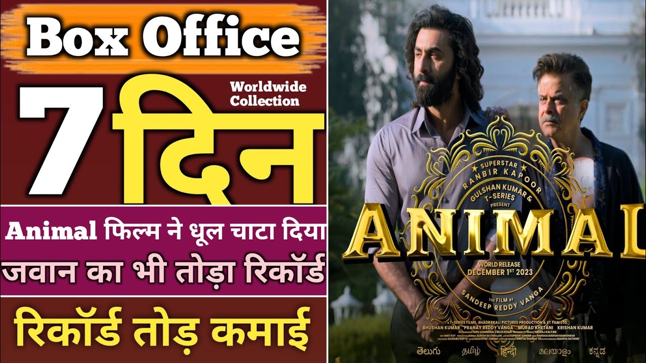 Animal Movie Box Office Collection 7 Day | Animal Box Office Collection ...