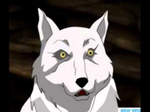 wolf young justice - YouTube