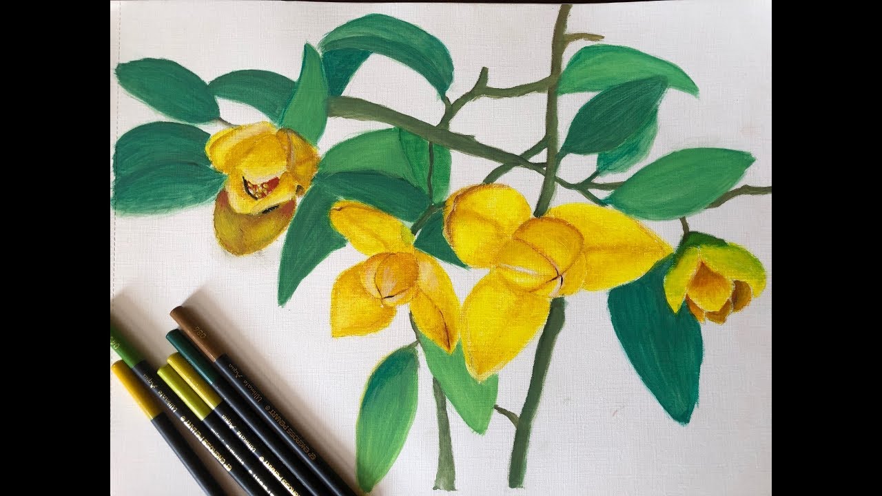 Rumdoul is the most beautiful flower in Cambodia - YouTube