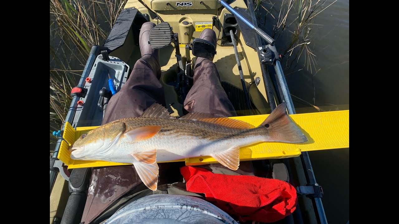 Fall slot redfish in Inglis/Yankeetown Florida - YouTube