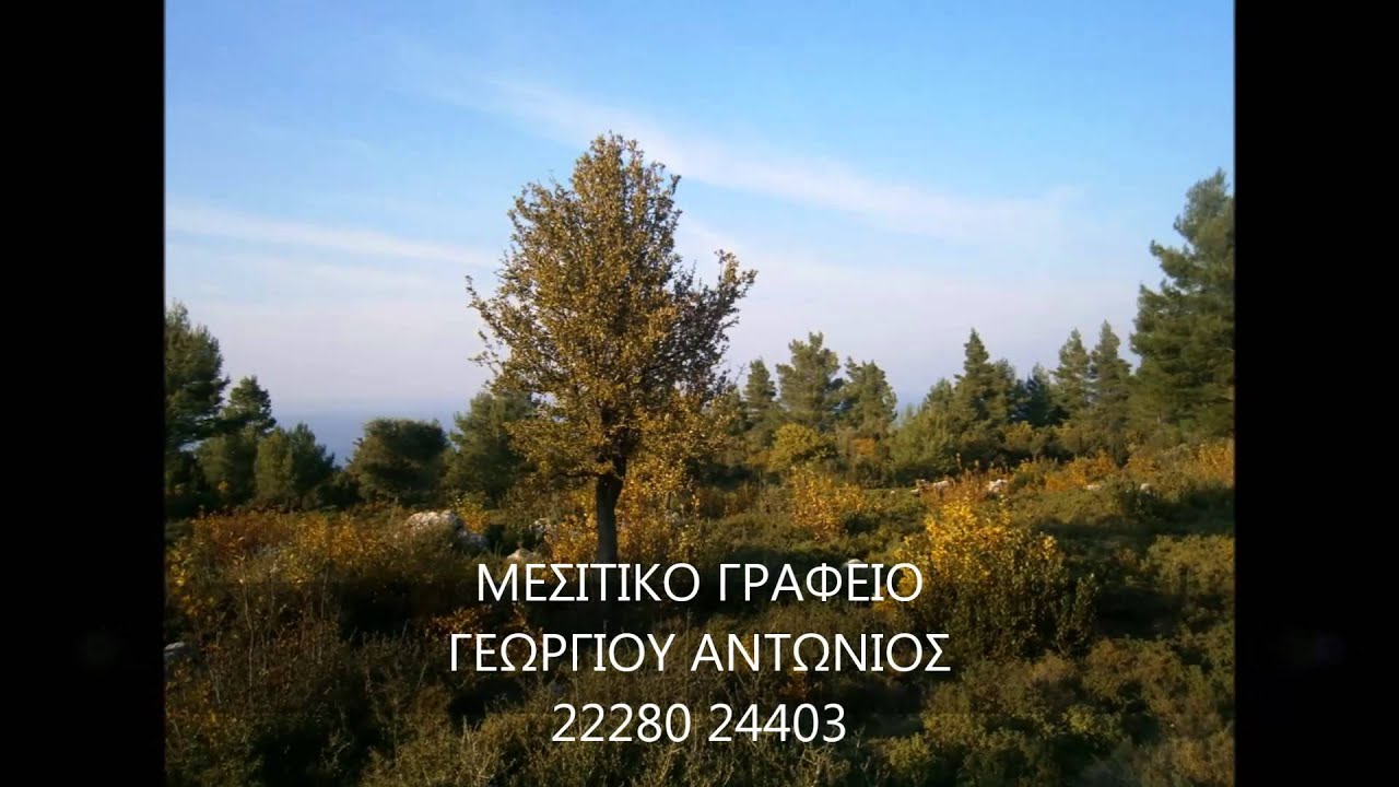 ΠΩΛΕΙΤΑΙ ΑΓΡΟΤΕΜΑΧΙΟ 5ΣΤΡΕΜΜΑΤΩΝ ΣΤΟ ΜΑΚΡΥ ΓΙΑΛΟ ΣΤΗ ΒΛΑΧΙΑ ΕΥΒΟΙΑΣ ...
