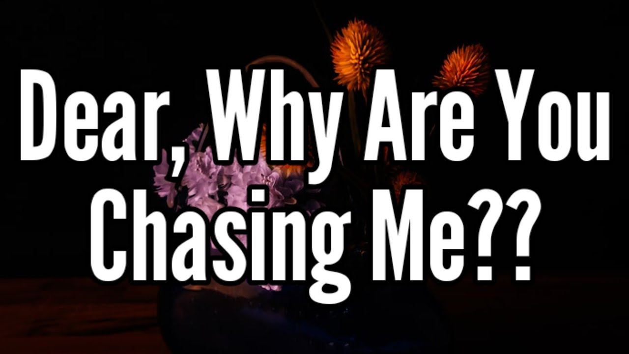 Dm to Df Love Lines ️|| Dear, Why Are You Chasing Me??😍🌹💌😘 || I NEED ...