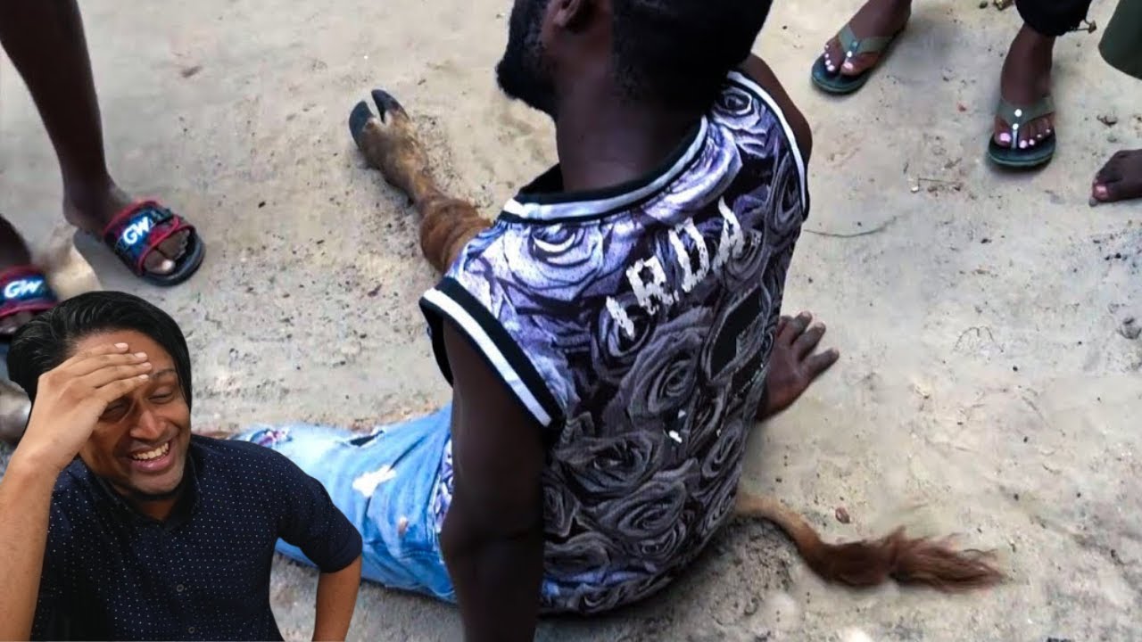 Man Turn Into A Cow After Cheating with Someone's Wife | Witchcraft ...