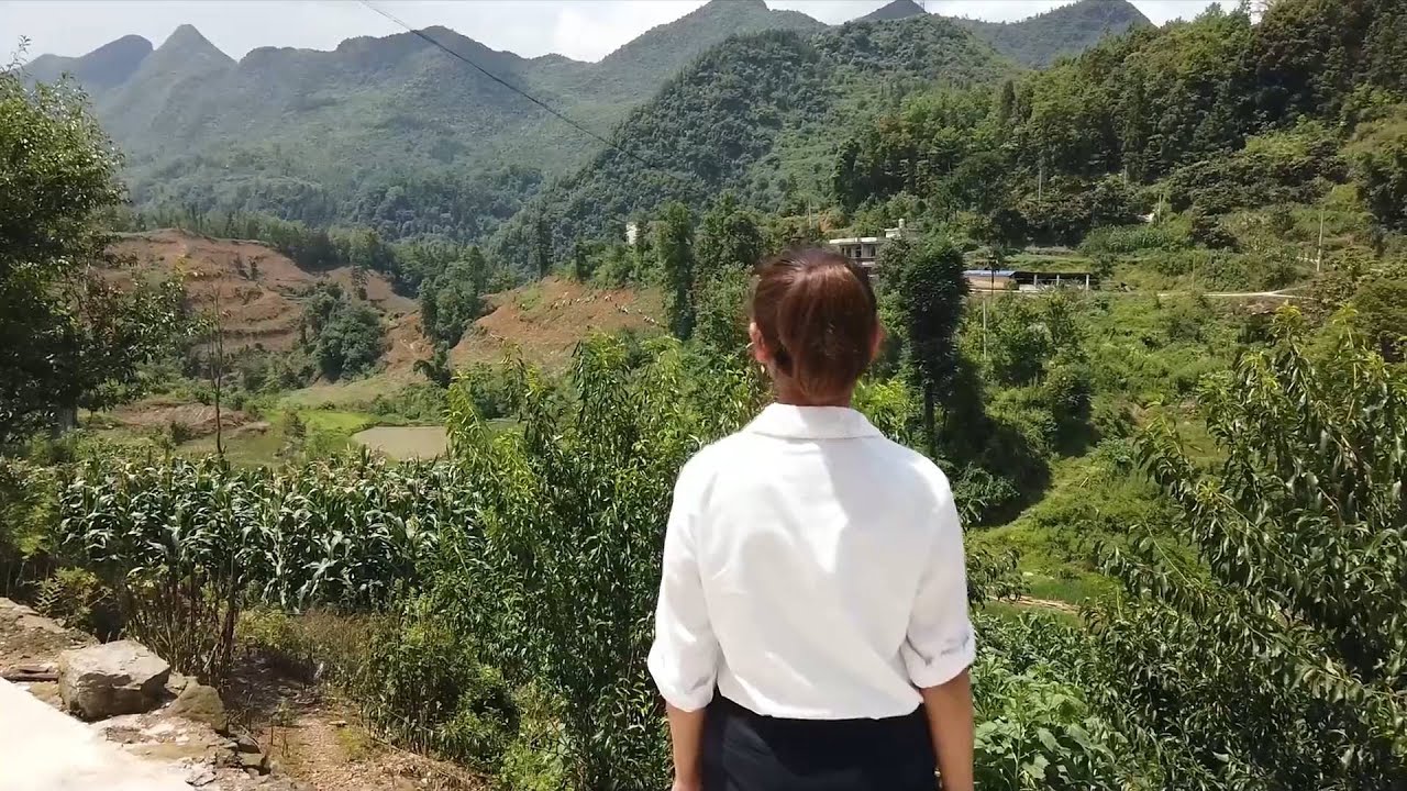 GLOBALink | Why young CPC members willing to work in China's rural ...