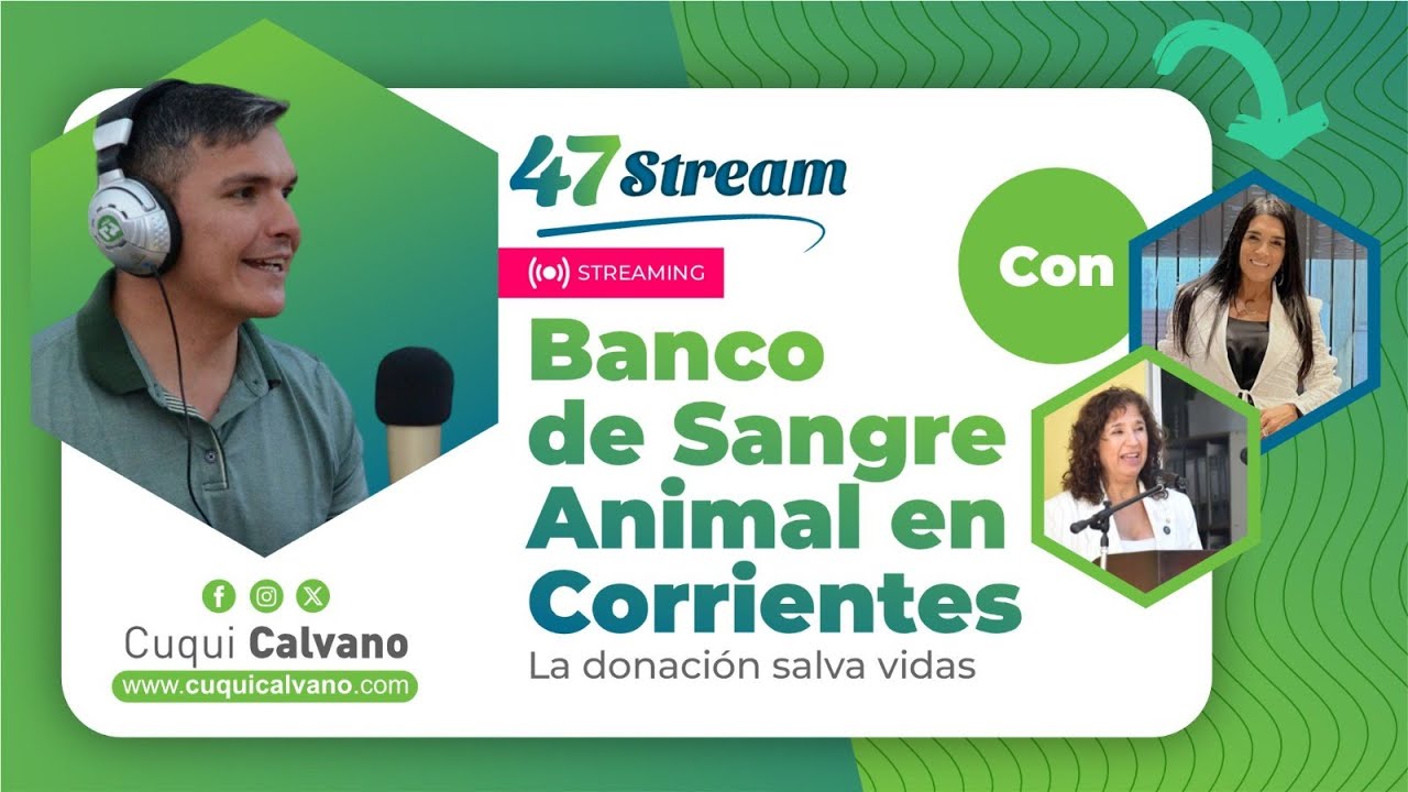 47 STREAM - Banco de Sangre Animal en Corrientes - YouTube