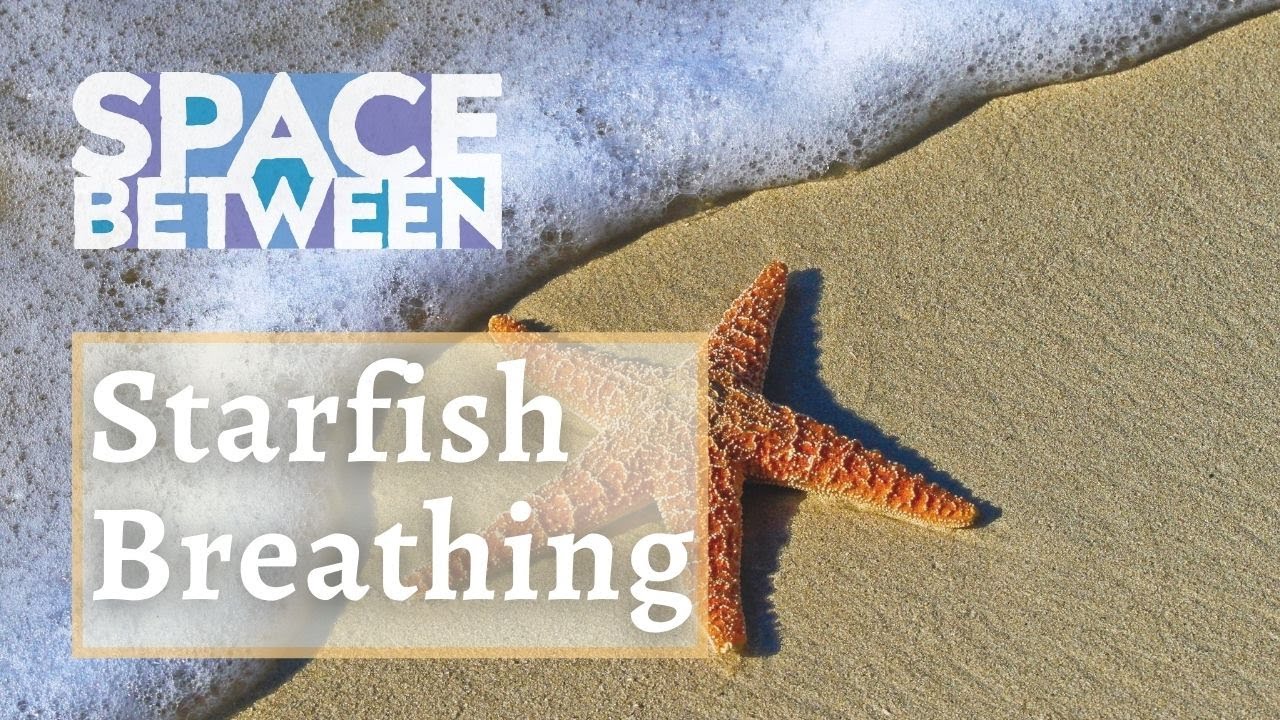Starfish Breathing | Space Between - YouTube