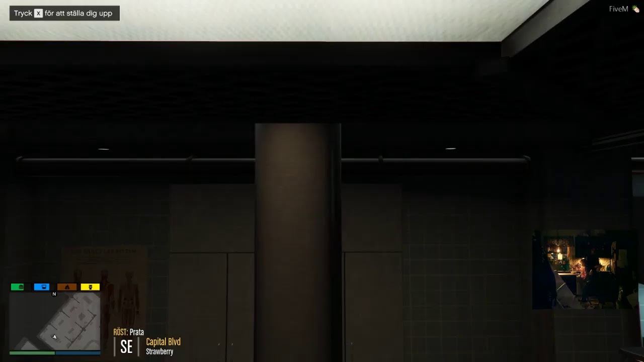 FiveM RP Server: Swedish Reborn RP - YouTube