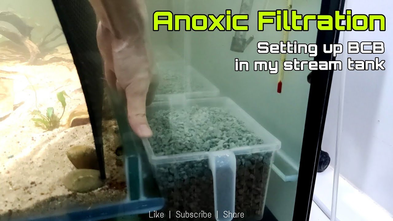 A brief introduction to Anoxic Filtration System - YouTube
