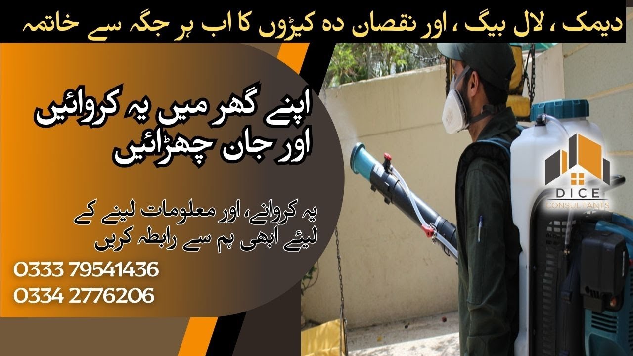 Fumigation process in home | termite proofing in construction - YouTube