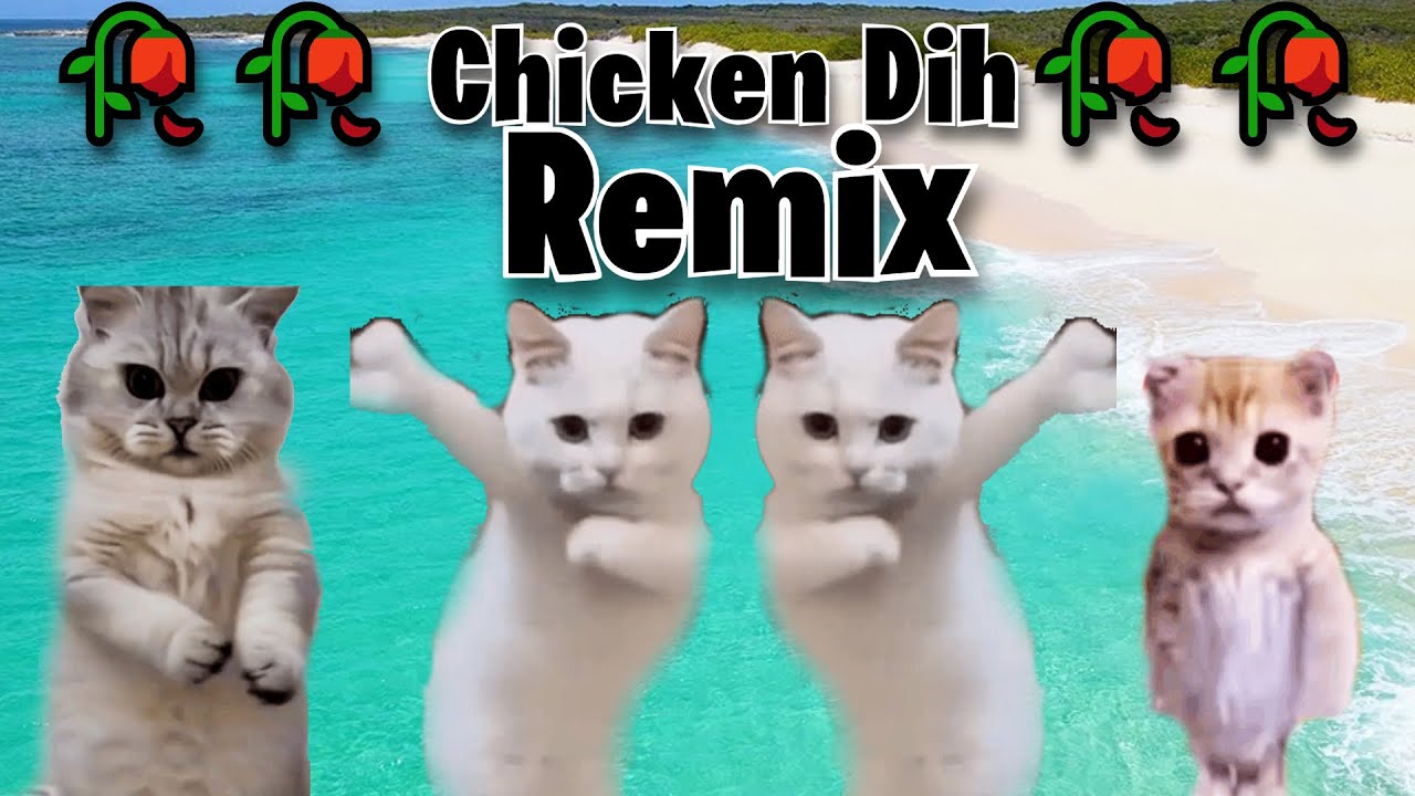 Take A Dih Chicken Dih (Block 13 Meme Song) - Parappachu & Tik Tok ...