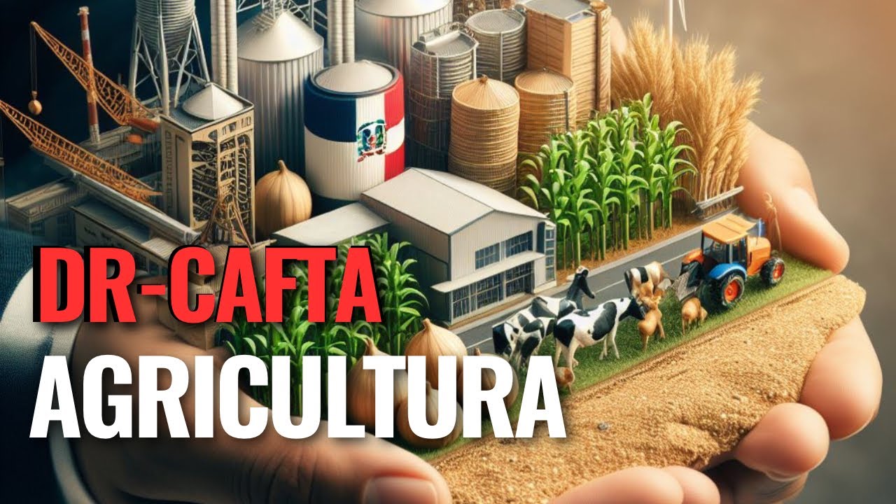 Adiós al ARROZ en República Dominicana! #derbauer #alimentamoselmundo # ...