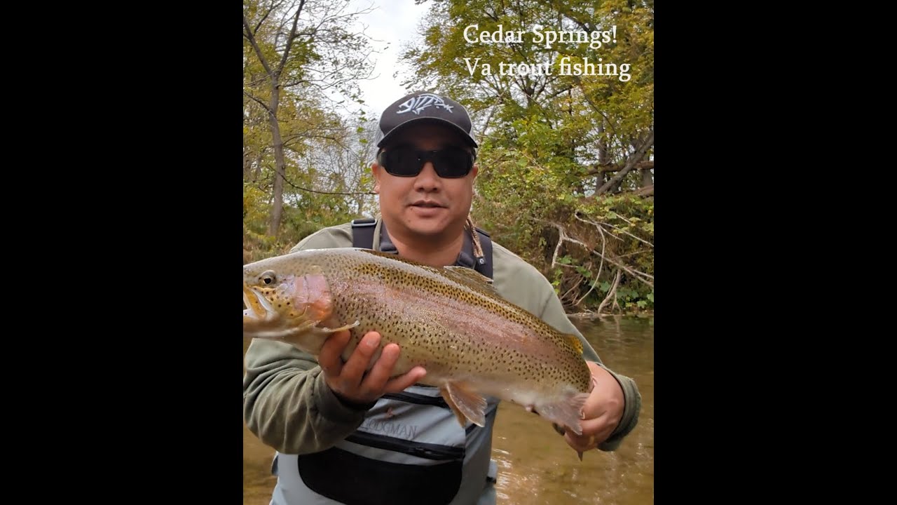 Trout fishing Cedar Springs & catching a surprise orange sherbet trout ...