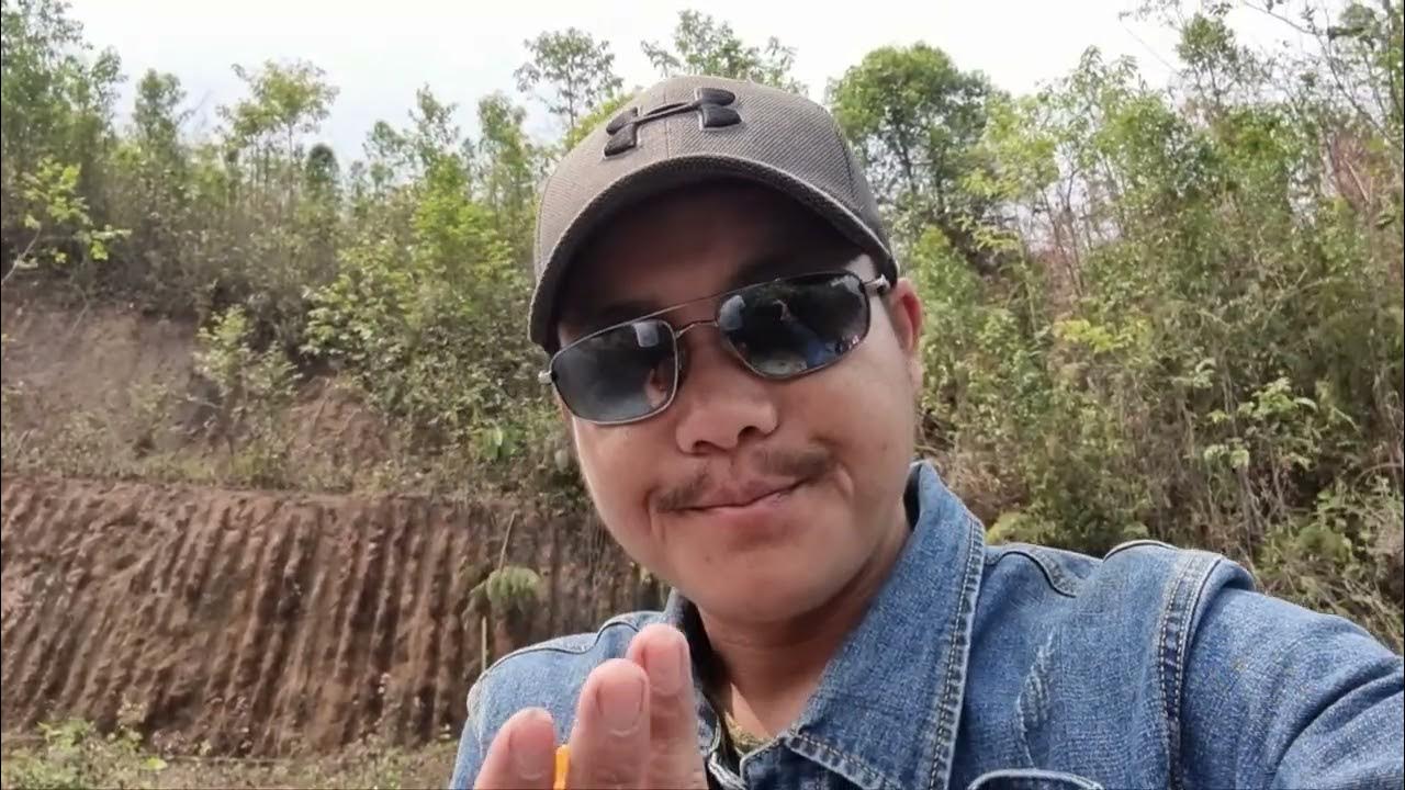 hnub no mus yos nplooj siab coj los muag mas sab tiag tiag - YouTube