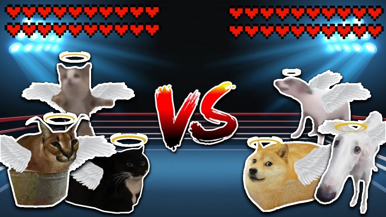 All Angel Cats vs All Angel Dogs! Meme battle - YouTube