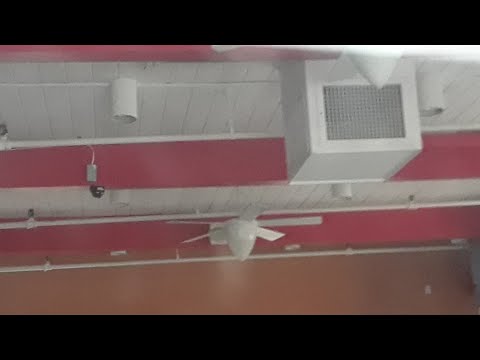 Modern Fan Nimbus Ceiling Fans in Panda Express at Six Flags Saint ...