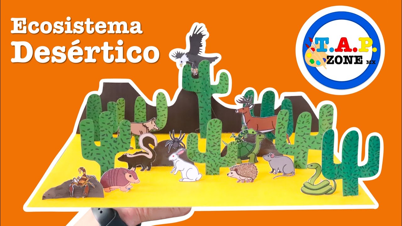 Hoja De Trabajo Sobre El Bioma Del Desierto Presentación Desierto