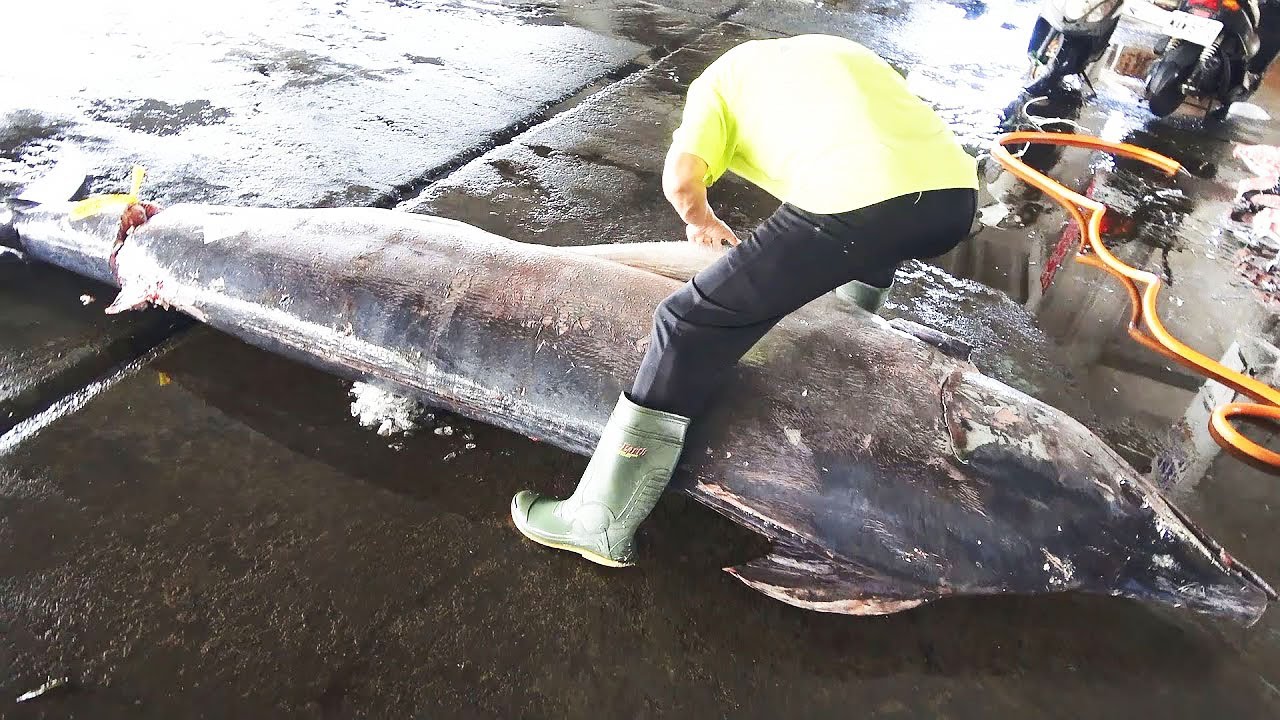 How to Fillet 300KG Giant marlin fish using Special Knife - Taiwanese ...