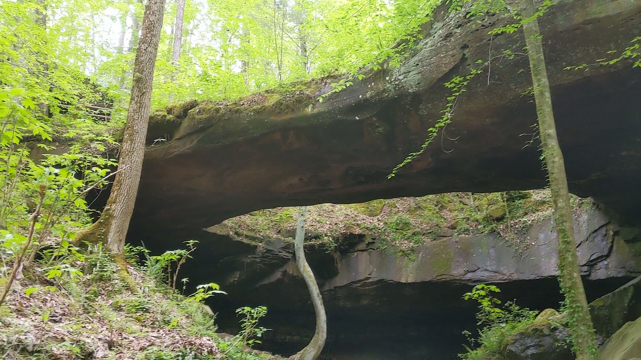 Natural Bridge, Bankhead National Forest. Double Springs, Alabama ...