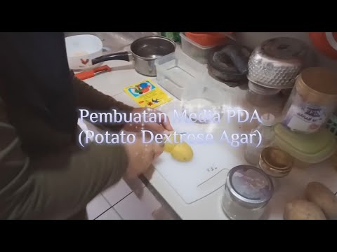 Pembuatan Media PDA (Potato Dextrose Agar) - YouTube