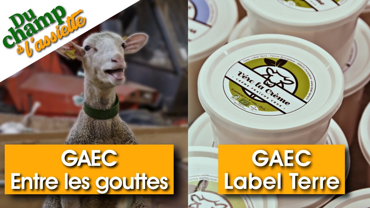Du champ à l'assiette : au GAEC entre les gouttes et au GAEC Label ...