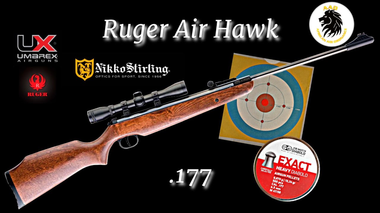 Ruger Air Hawk .177 20 Yard Shooting Test With JSB 10.34gn Pellets ...