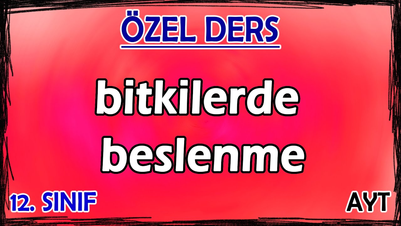 23) Bitkilerde Beslenme - Özel Ders (12. Sınıf) - YouTube