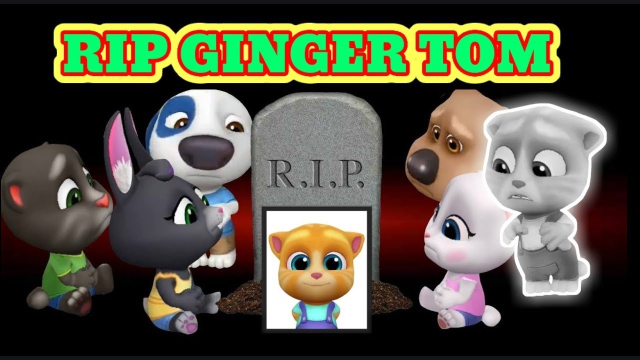 RIP TOM MY TALKING TOM & FRIENDS | #kidsvideo #talkingtom # ...