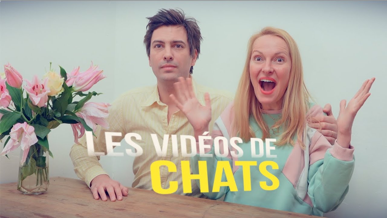 Les Vidéos de Chats #2 - Sortir avec un GIF - YouTube
