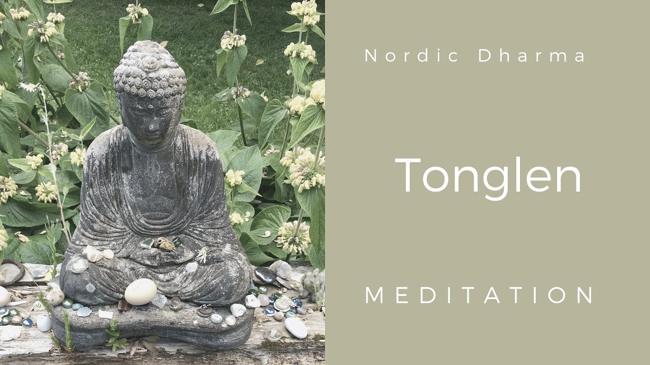 Guidet meditation. Tonglen 17 min - YouTube