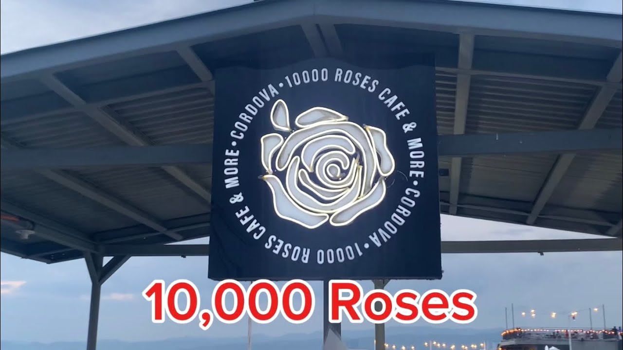10K Roses Cebu #cafe #cordovalapulapucity - YouTube
