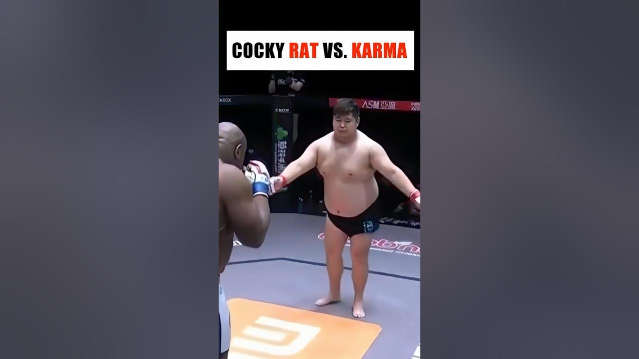 Sneaky Rat Got Karma! - YouTube